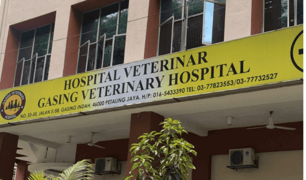 The Ultimate Guide to the Top Veterinary Clinics in Kuala Lumpur and Selangor: Reviews, Services ...