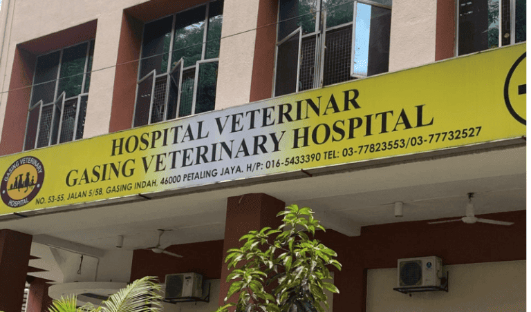 The Ultimate Guide to the Top Veterinary Clinics in Kuala Lumpur and Selangor: Reviews, Services ...