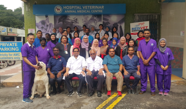 The Ultimate Guide to the Top Veterinary Clinics in Kuala Lumpur and Selangor: Reviews, Services ...