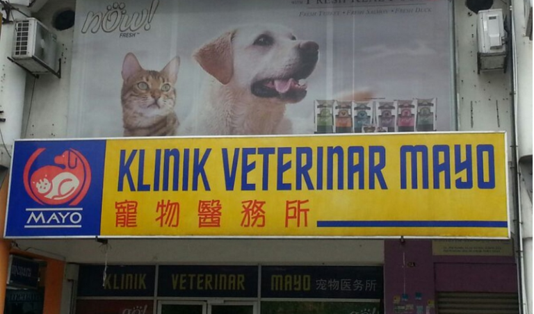 The Ultimate Guide to the Top Veterinary Clinics in Kuala Lumpur and ...